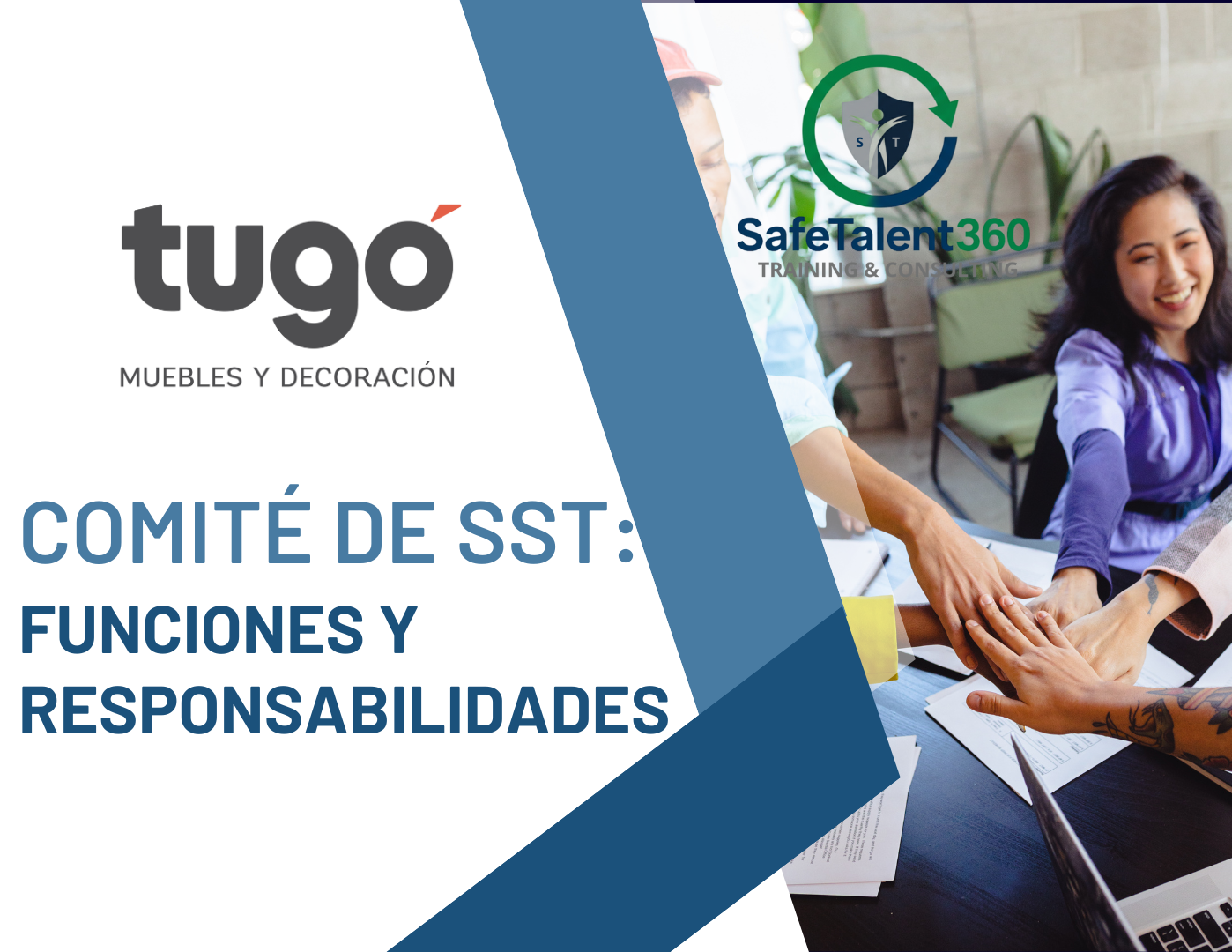 Comité de SST- Funciones y Responsabilidades - SafeTalent 360